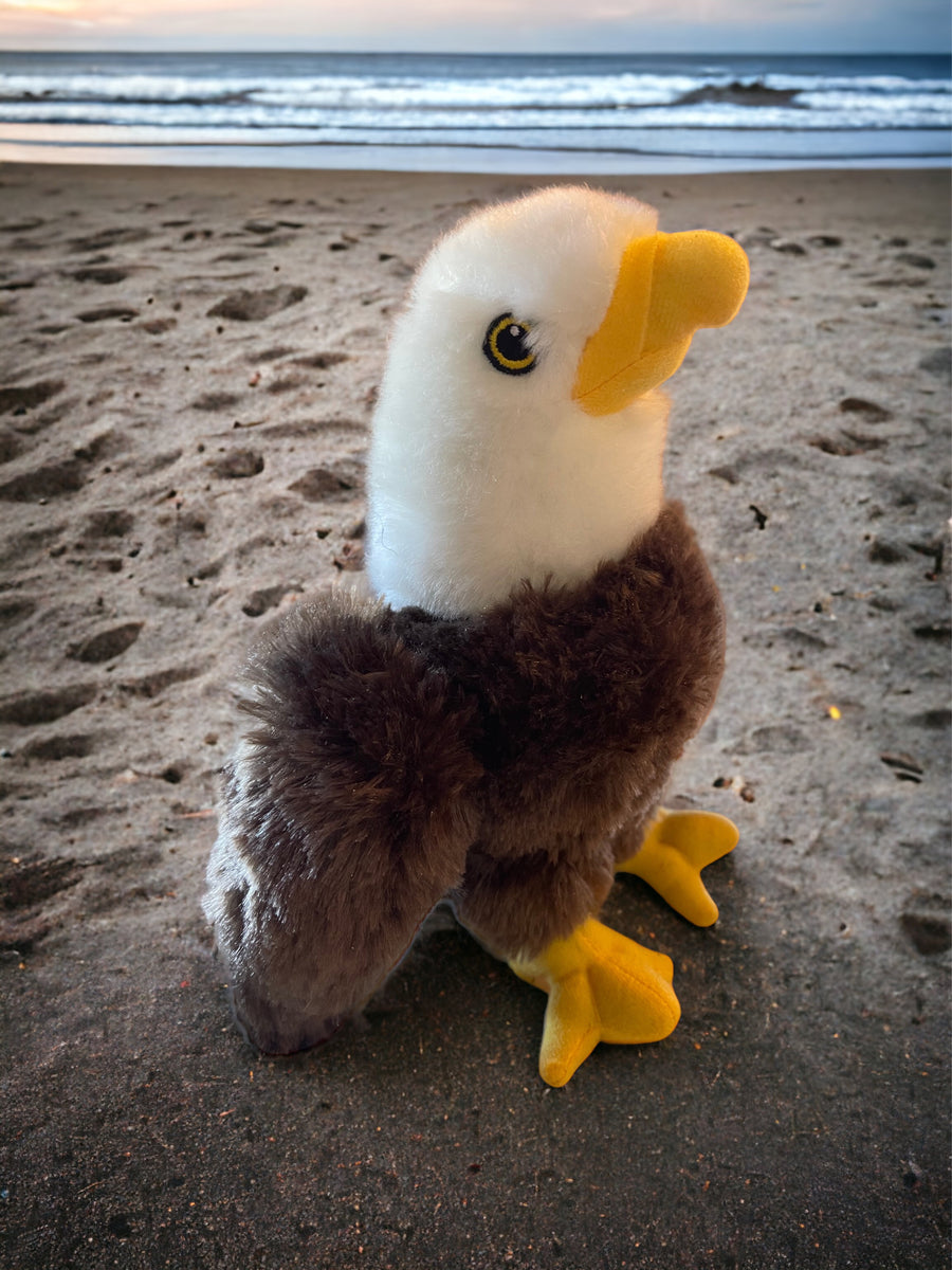 Eagle stuffed animal – Skipper Joe's Souvenirs
